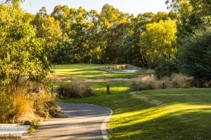 PLAY GOLF – Freeway Golf Course