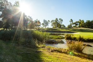 PLAY GOLF – Freeway Golf Course