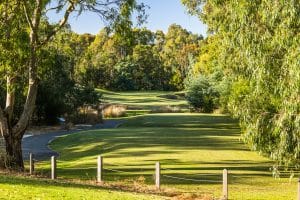 PLAY GOLF – Freeway Golf Course