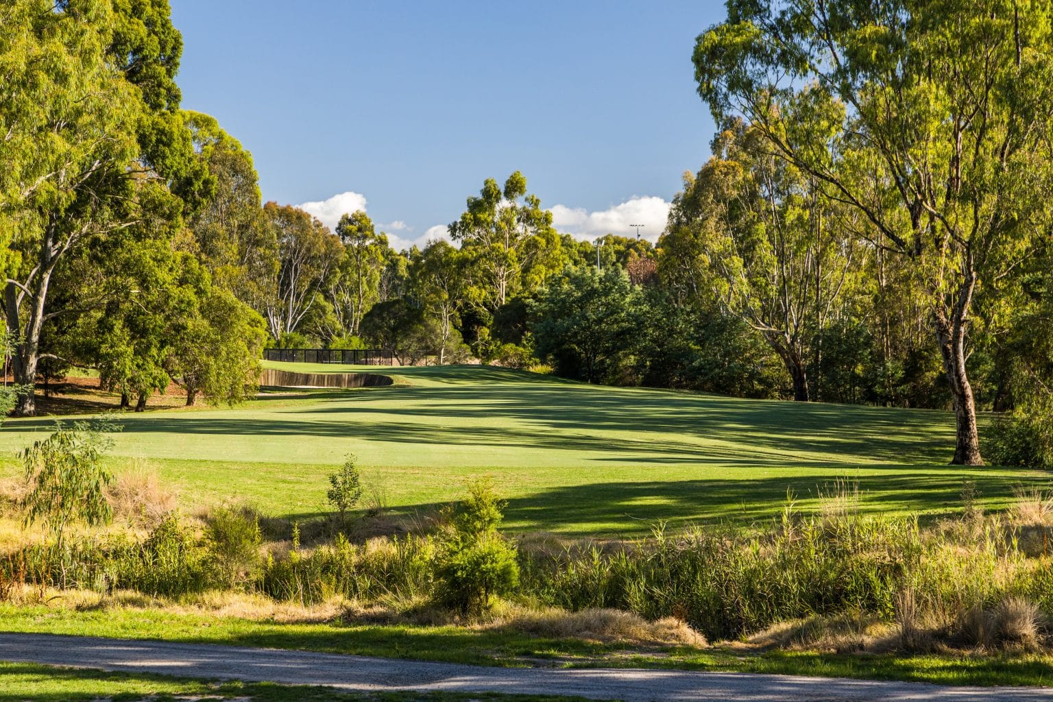 PLAY GOLF – Freeway Golf Course