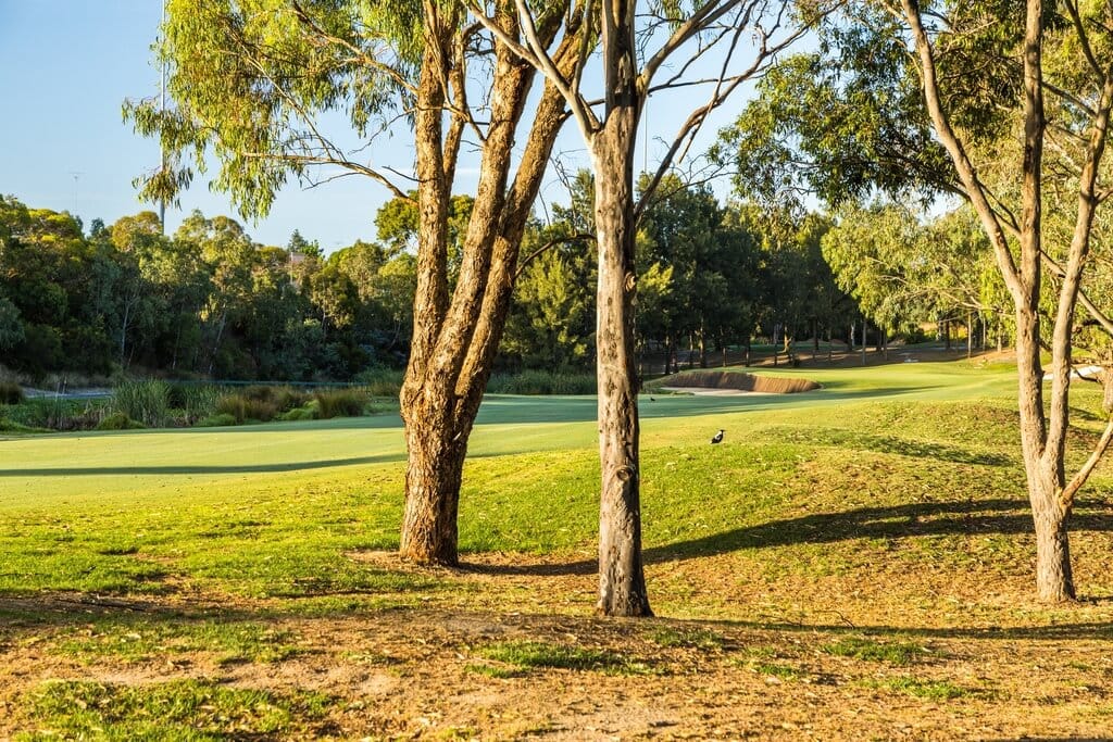 GOLF COURSE MAP + GALLERY – Freeway Golf Course