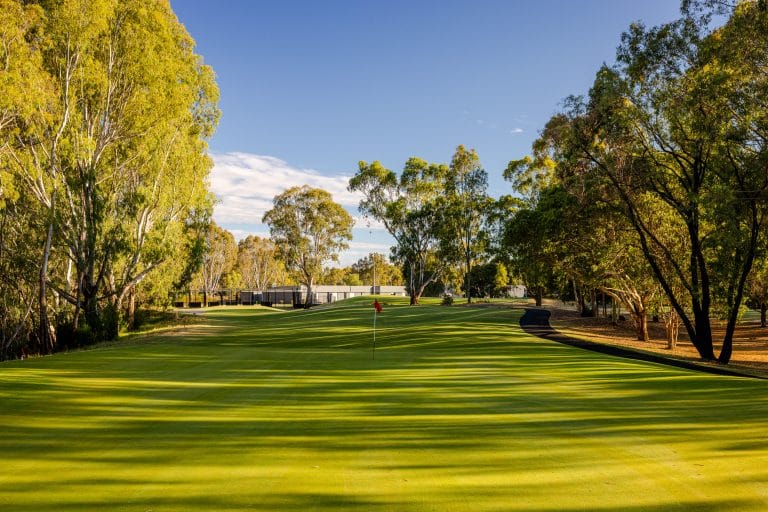 PLAY GOLF – Freeway Golf Course