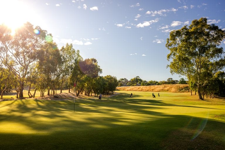 PLAY GOLF – Freeway Golf Course