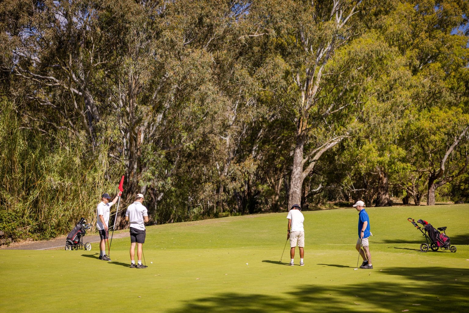 PLAY GOLF – Freeway Golf Course